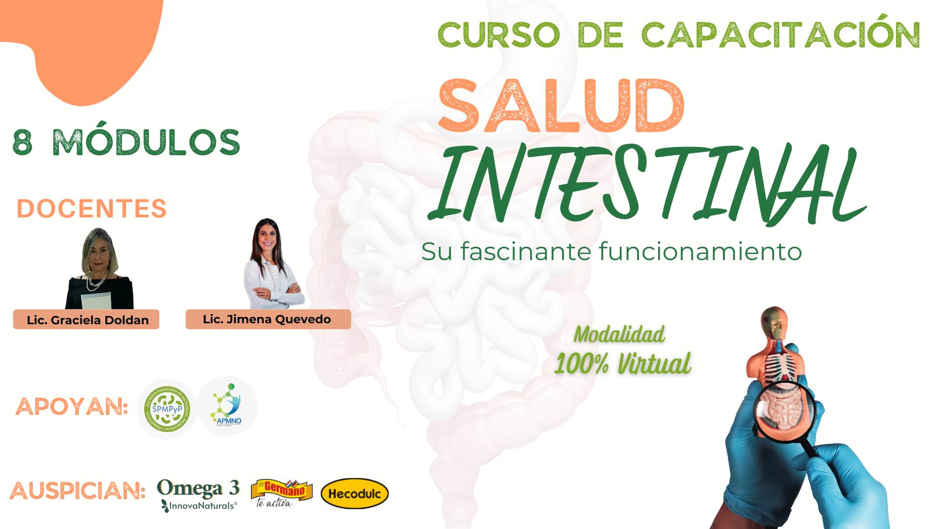 Resumen de Salud Intestinal. Su fascinante funcionamiento